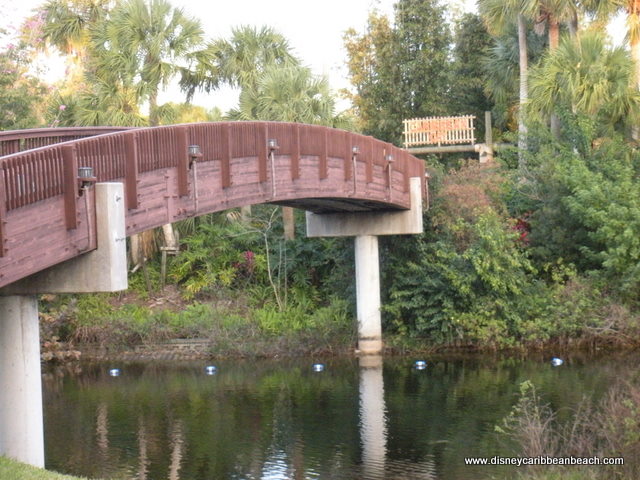 Caribbean Cay | Caribbean Beach Resort Fan Site